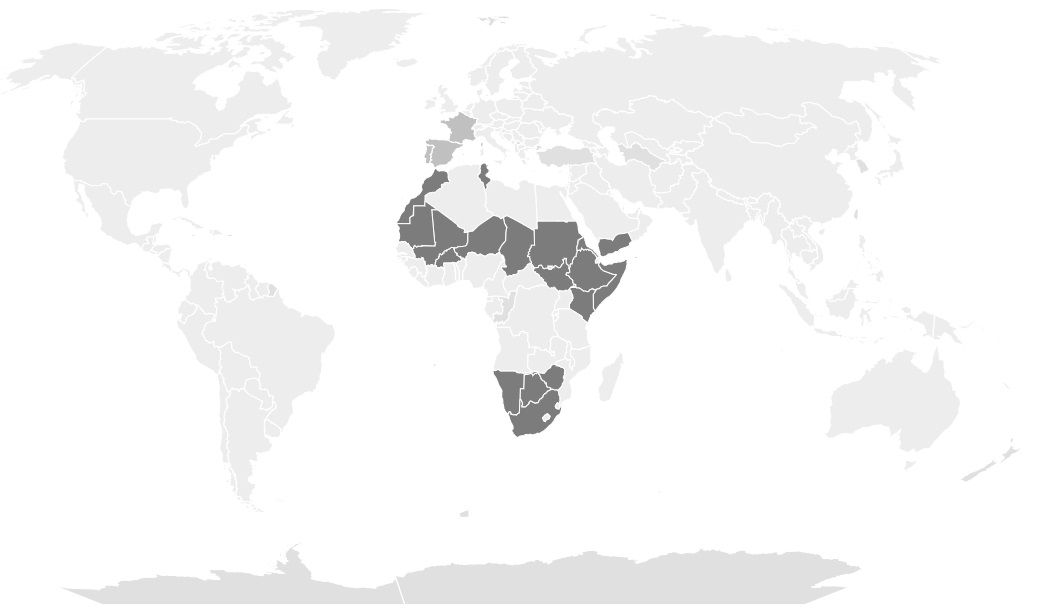 Gineta 🐾 depredador nocturno 🌱 Academia de la Naturaleza